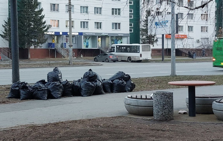 В Челябинске за грязь и мусор во дворах накажут управляющие компании ...